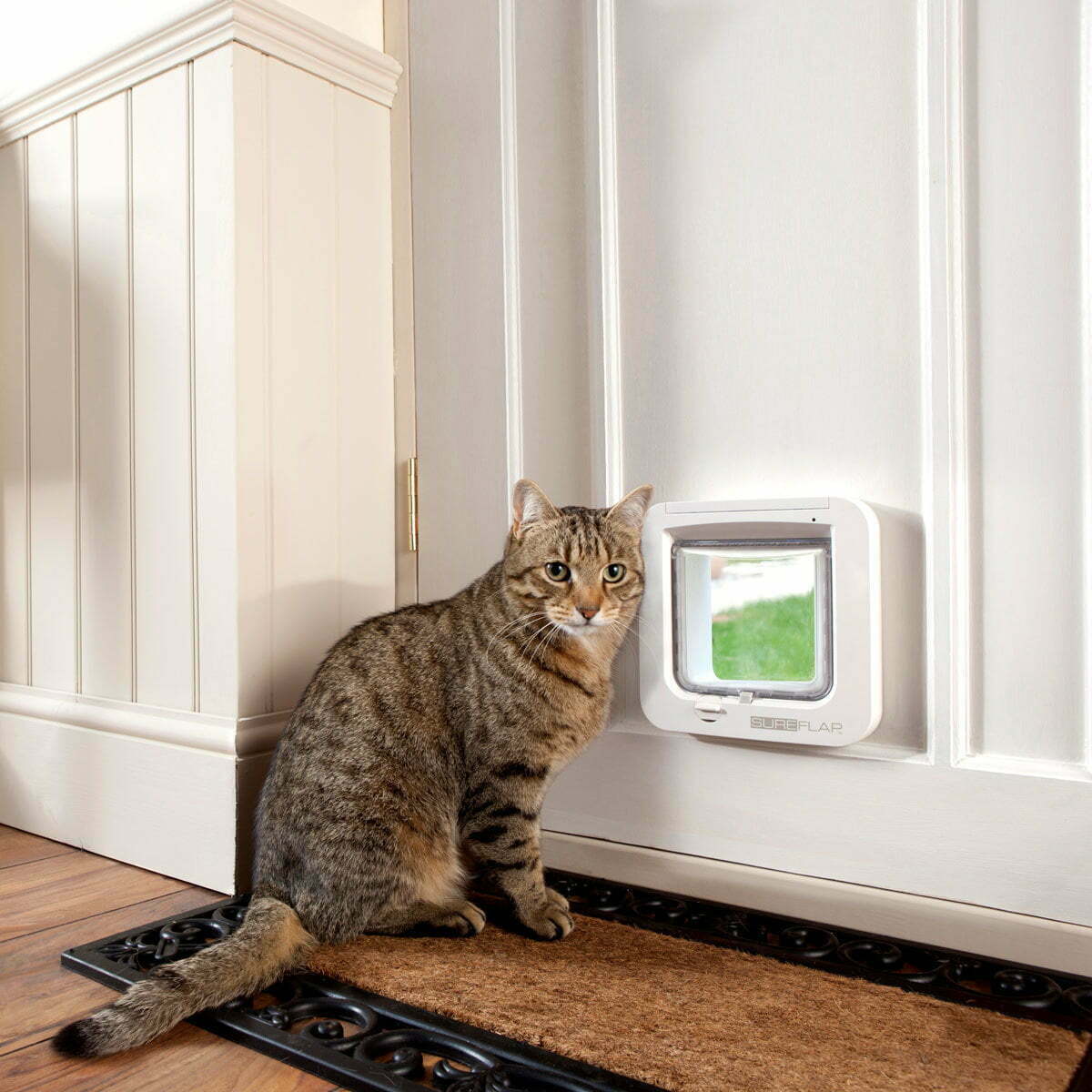 Kattlucka Bäst i Test - Lurvigt