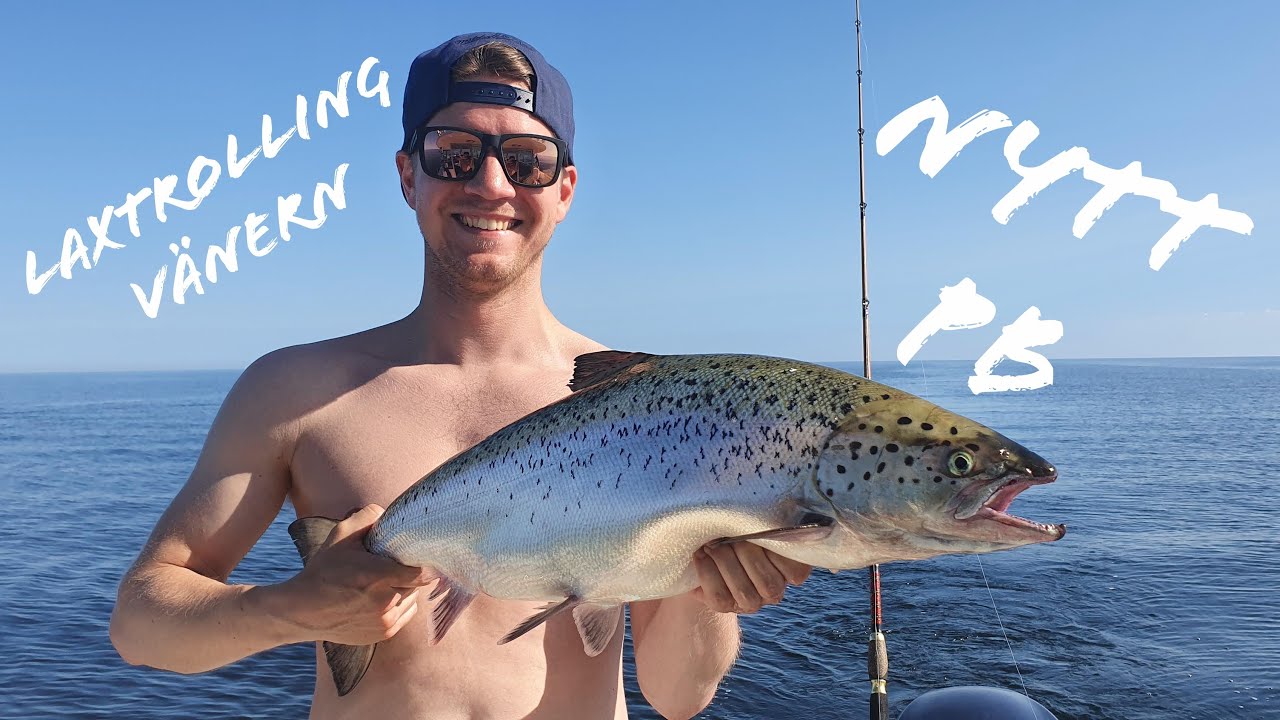 Sveriges största fisk: 15 bjässar i våra sjöar och hav